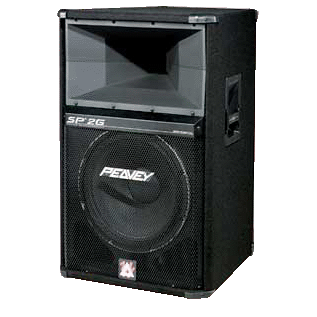 Peavey SP2G | 뮤플